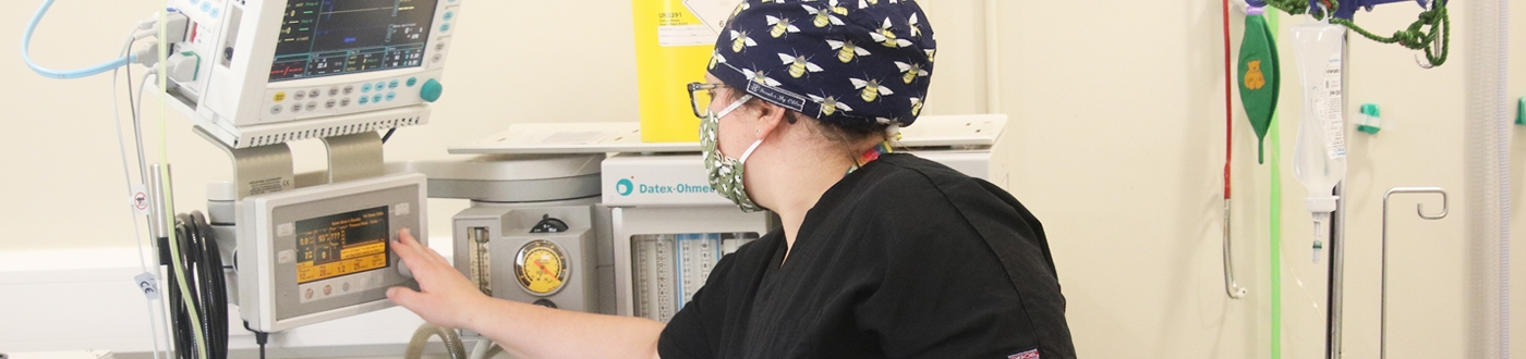 Sedation and General Anaesthesia Guide | Cave Vet Specialists