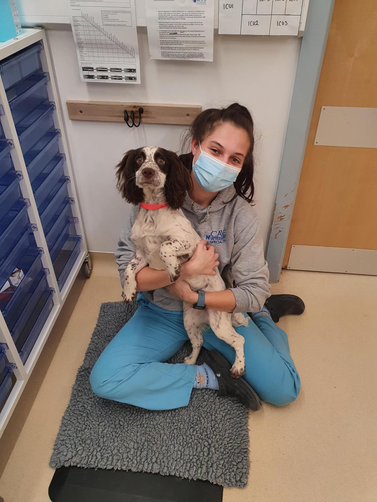 Veterinary Nurse Awareness Month | Cave Vets News
