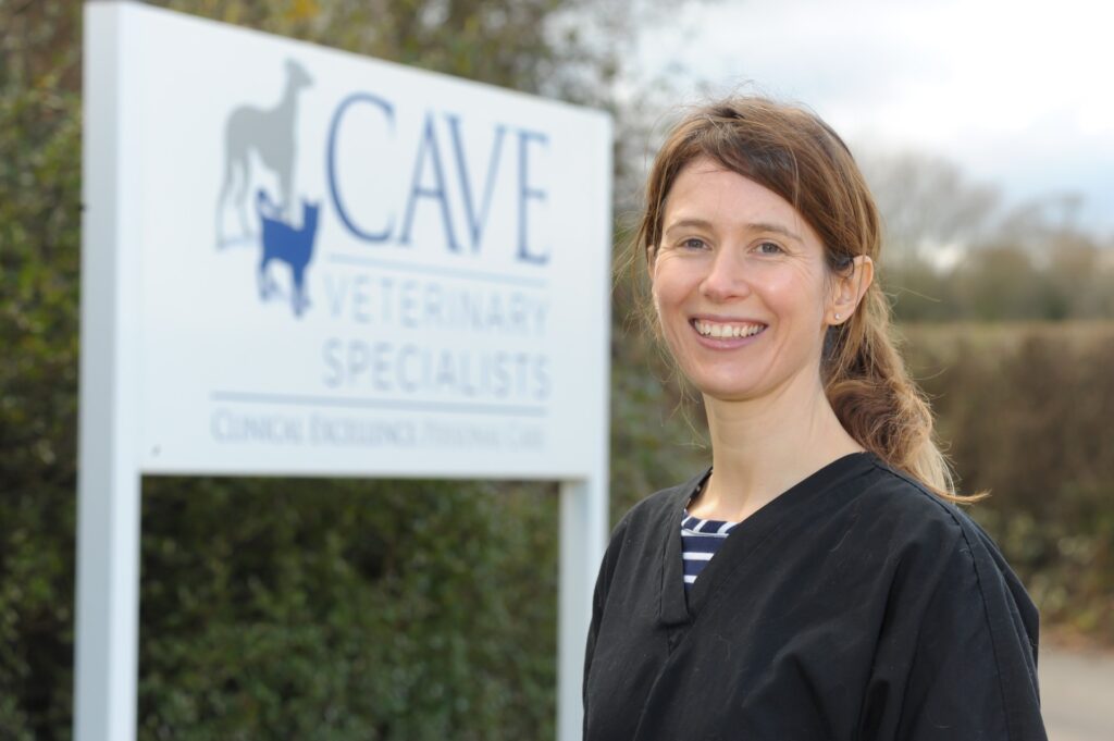 New Diagnostic Imager Joins Cave | Cave Vets News
