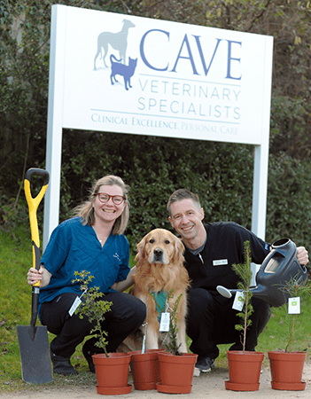 Tree Planting Initiative Rooted in Success | Cave Vets News